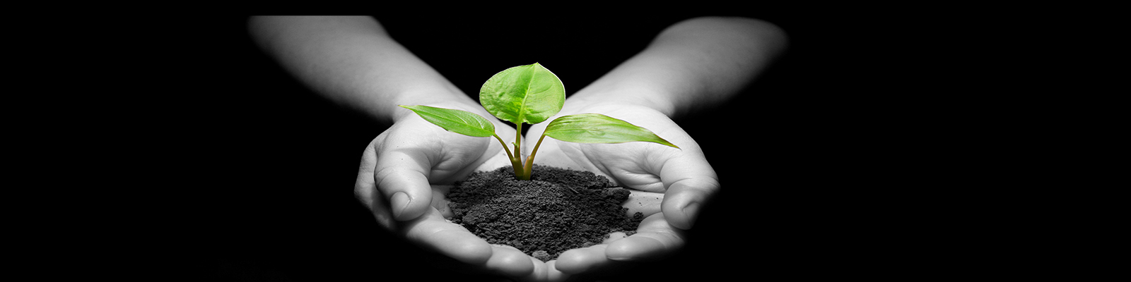 Vine of Life Ministries — A Humanitarian Outreach Helping Those In Need